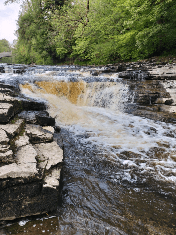 Where we Walked – #Walks #Photographs @Ribble Way @Stainforth Force ...