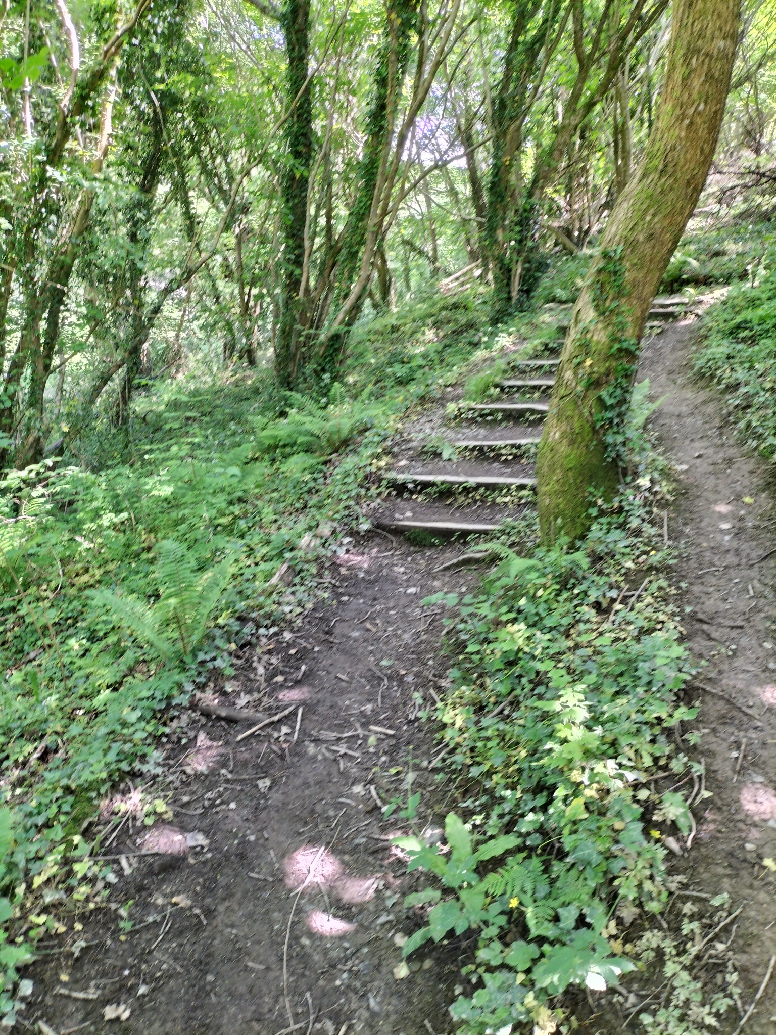 Where We Walked: Llanwrst – Melin Y Coed – a Five Mile Circular Walk # ...