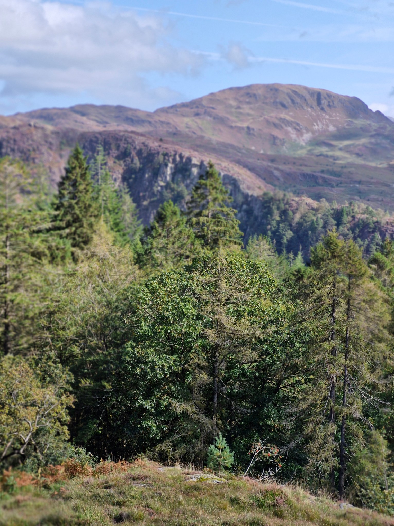 Where We Walked #Nantmor to Beddgelert via Bryn Ddu #Wales #walks # ...