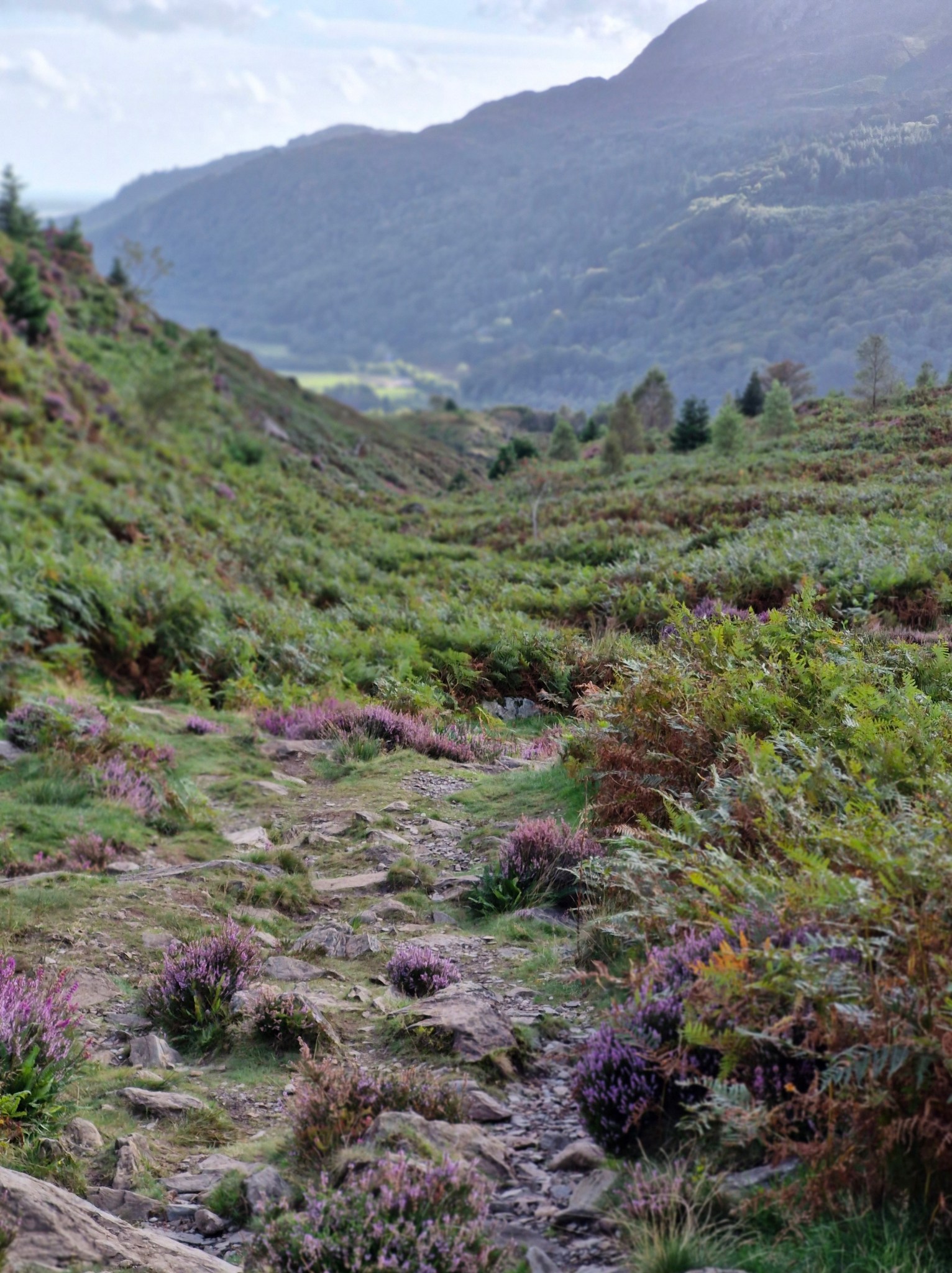 Where We Walked: Copper Mine @Cwm Bychan valley in @Snowdoni National ...