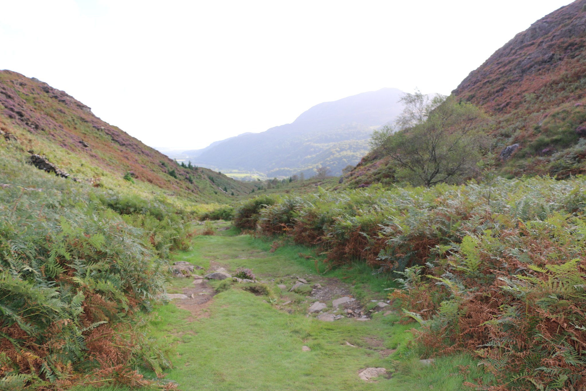Where We Walked: Copper Mine @Cwm Bychan valley in @Snowdoni National ...